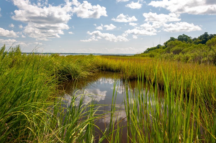 Virginia During the Interregnum – Virginia History Podcast